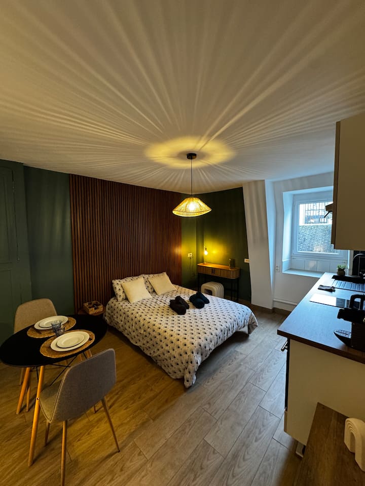 Charmant Appartement Au Coeur De Bourges [25] - Saint-Doulchard