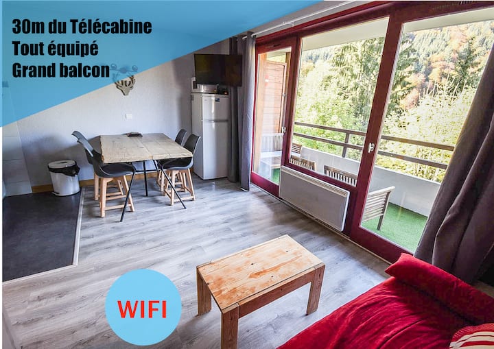 Grand Studio 4-6 Pers, 50m Du Télécabine Wifi - Saint-Jean-d'Aulps