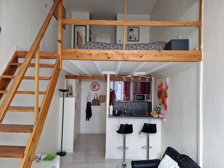 Joli Duplex Dans L'hyper Centre De Lille - Lille