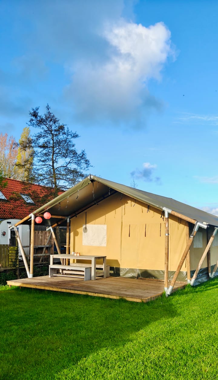 Glamping Safaritent 4-persoons #2 - Netherlands