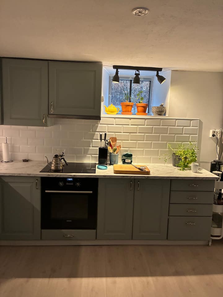 Cosy Apartment Rustic Style. Free Parking. - Oslo