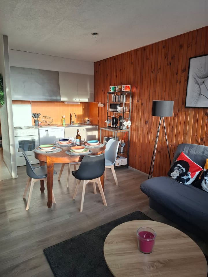 Appartement 100 Les Gentianes - Besse-et-Saint-Anastaise