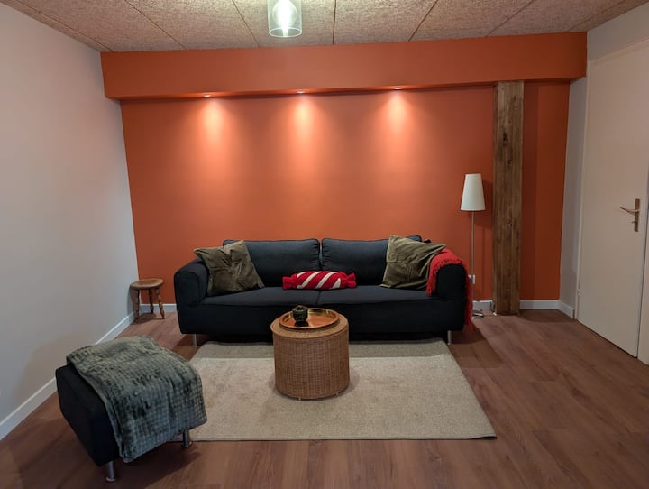 Nid Alsacien En Plein Cœur Historique - Riquewihr