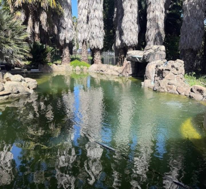 Private Wine Country Studio On Horse Ranch - Thornton, CA