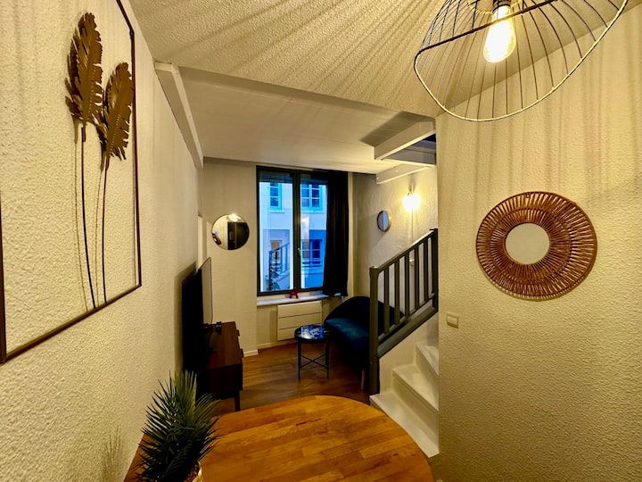 Lyon 4 Quai Du Rhône - Joli Duplex Avec Charme - Lyon