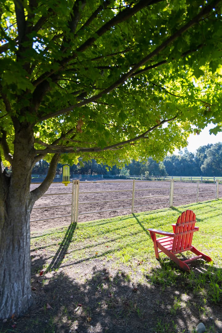 Camp Delta Tiny House - Sacramento, CA