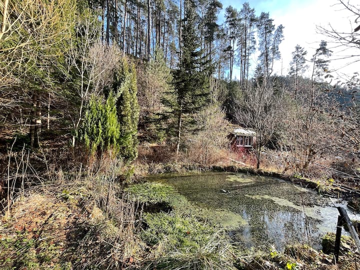 Schwarzwaldhaus Am Bach · Pfau & Hunde Willkommen - Triberg im Schwarzwald