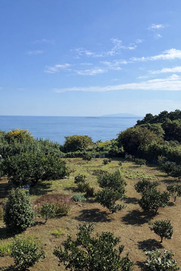 A Spacious 100㎡ Private House With Panoramic View - Atami