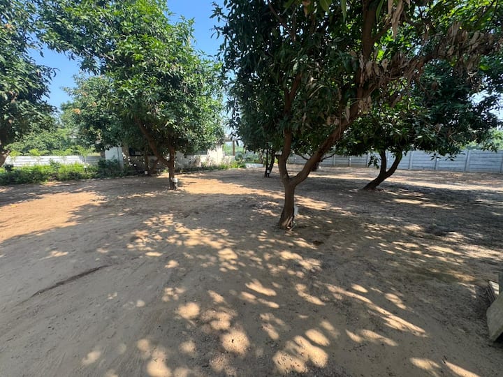Vihaan’s Mango Manor - Anand