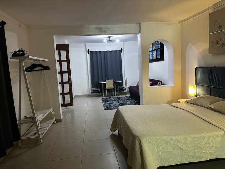 Apartamento Estilo Estudio En El Centro - Mérida