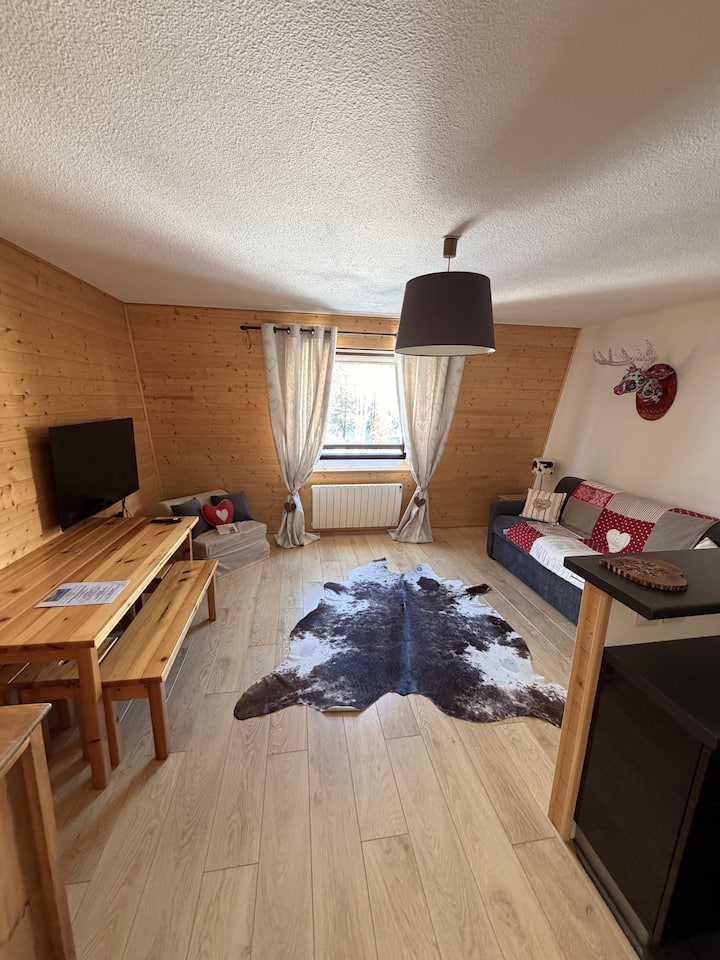 Chaleureux Spacieux Coquet 4 Pers La Foux D'allos - La Foux d'Allos