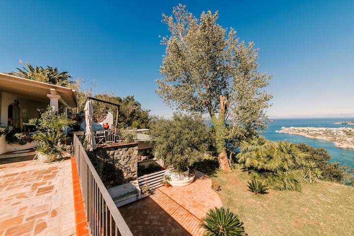 Villa Con Giardino Infinity E Vista Mare - Forio