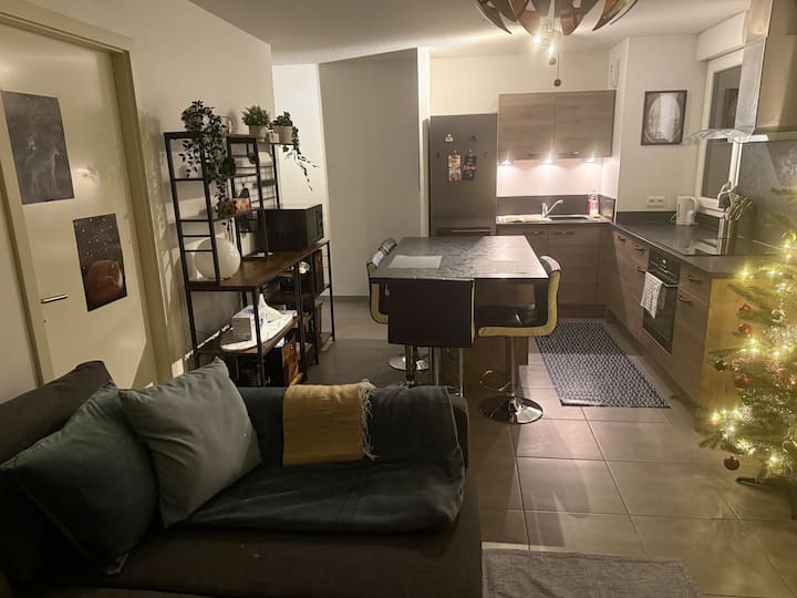 Appartement T2 Cosy Strasbourg Nord - Estrasburgo