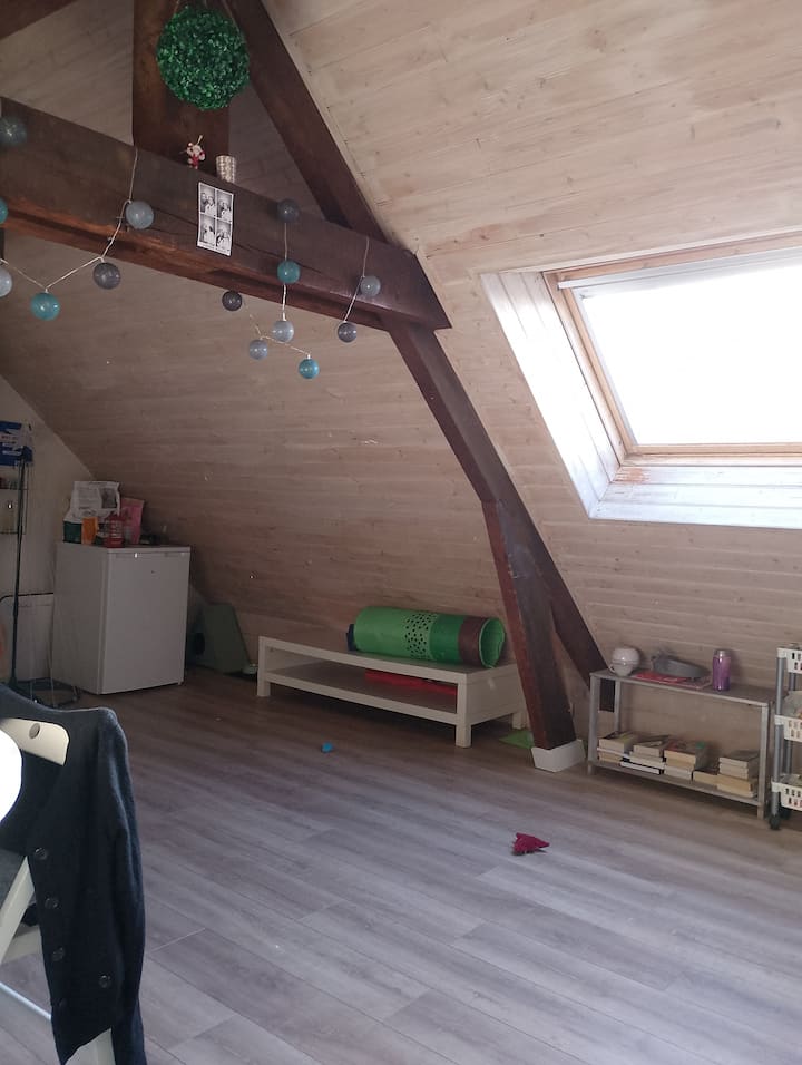 Appartement Cosy Duplex 40m Lorient - Lorient