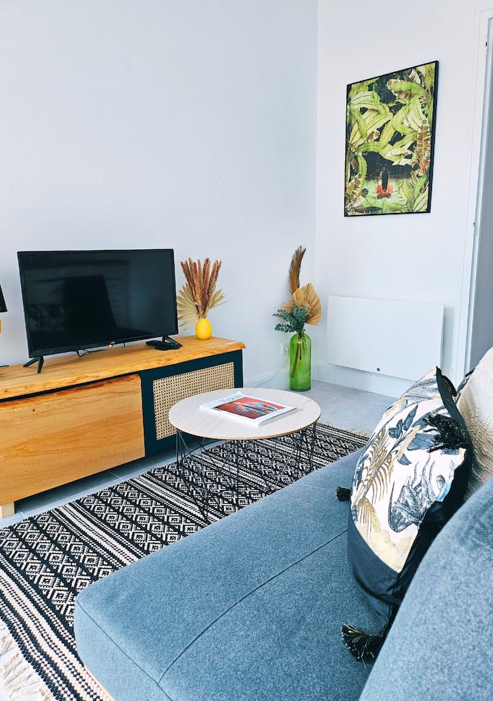 Le Cocon Palmier - Fougères