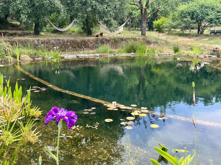 Boutique Yurt With Eco Swimming Lake, Private Land - Oliveira do Hospital