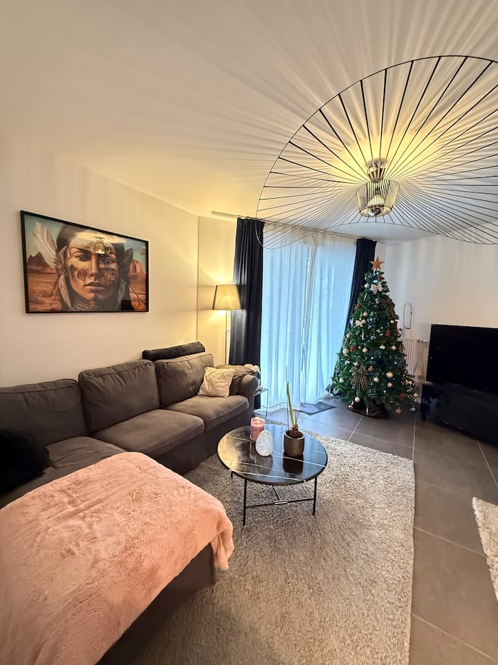 Chambre Proche Aéroport - Ferney-Voltaire