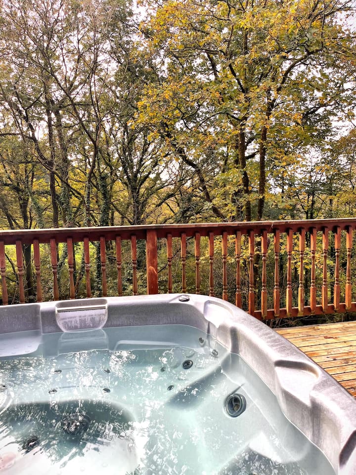 Sleeping Tree Lodge - Kaowood - Private Hot Tub - Pembrokeshire