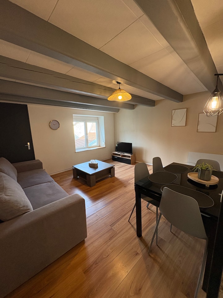 Charmant Appartement Au Centre-ville - Remiremont