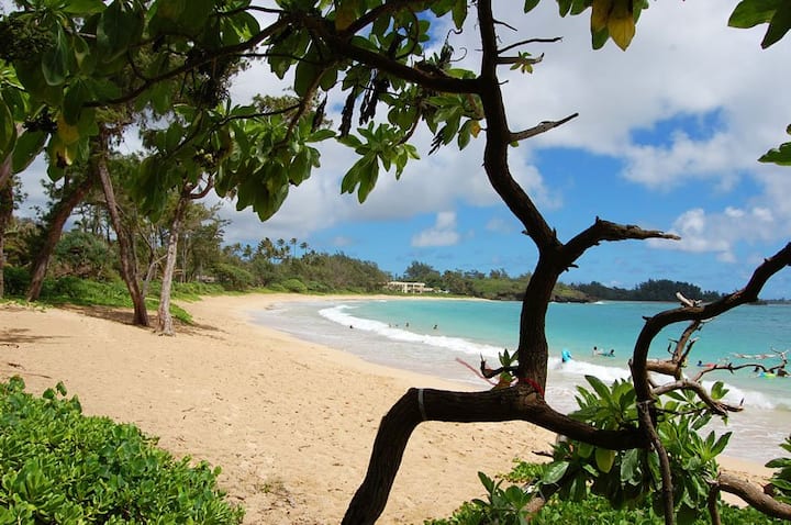 Laie Beachfront | Perfect For Groups - Laie, HI