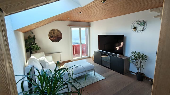 Panorama-wohnung Mit Balkon & Alpenblick - Thun