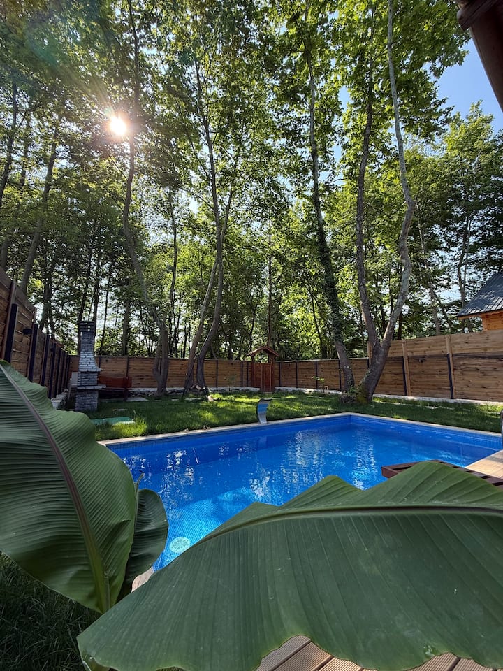 Orman Ve Dere İçInde Lüks Kütük Ev Isıtmalı Havuz - Kuzuluk