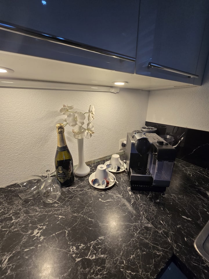 Exklusives 3.5 Zimmer Apartment Davos Nähe Wef - Davos