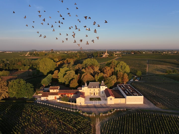 Logement 2 Suites Parentales - Saint-Émilion