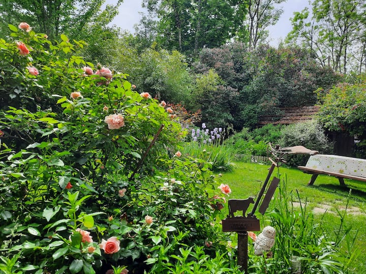 Appartement Indépendant Dans Maison De Caractère - La Roche-sur-Foron