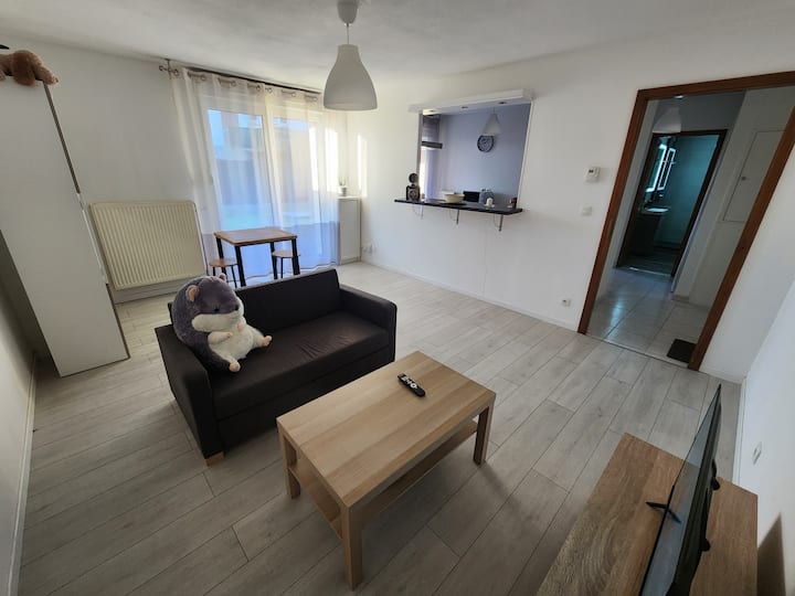 Appartement Rez-de-jardin Avec Terrasse Privative - Kingersheim