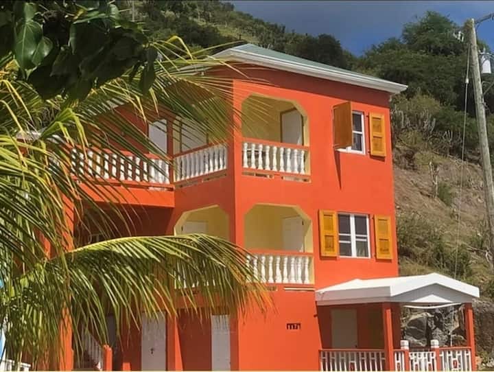 Petite Pardis - U.S. Virgin Islands