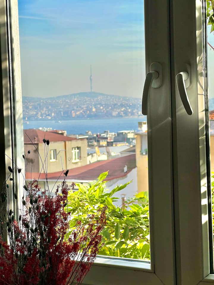 Stunning Bosphorus View, 4 Min To Galata Tower - Istanbul