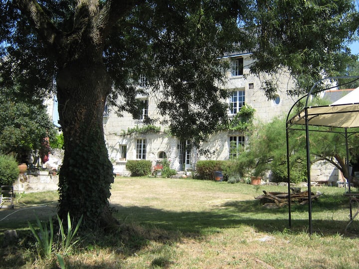 Chambres Sur Une îLe De La Loire - Saumur