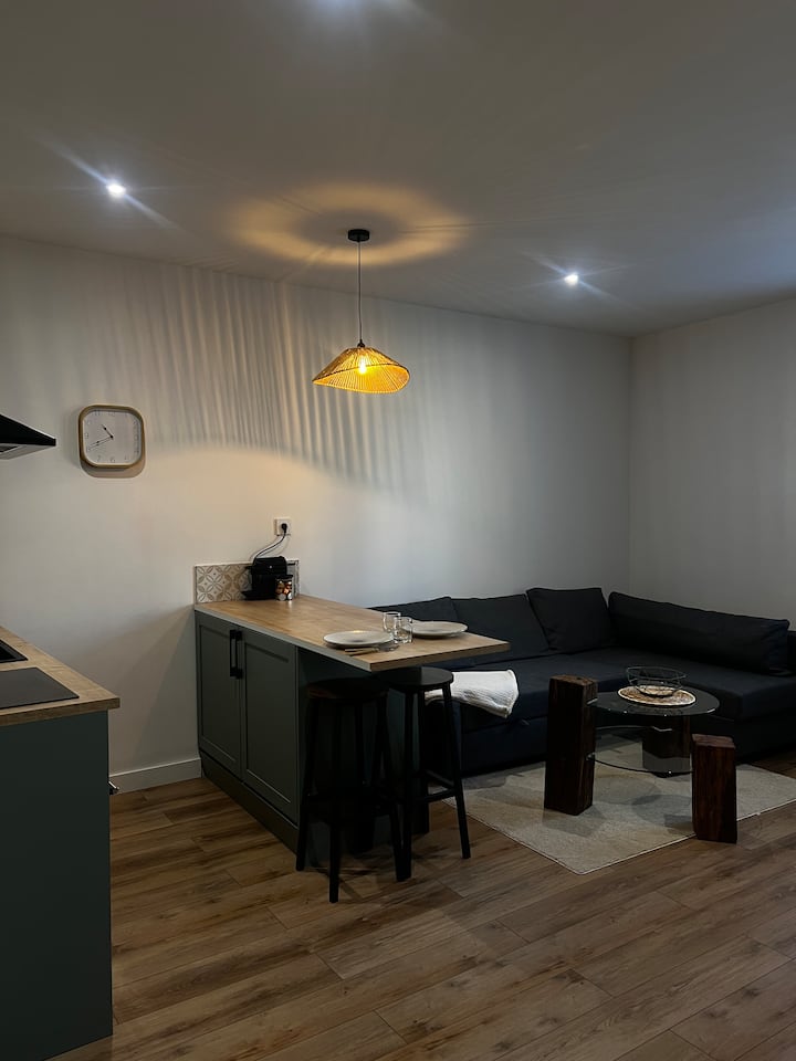 Appartement T2 Proche De La Cité Gastronomique - Dijon