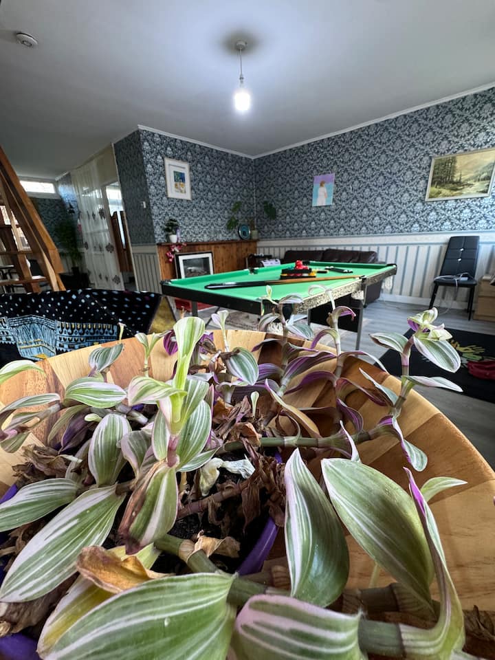 House Of Comfort. - Bromley