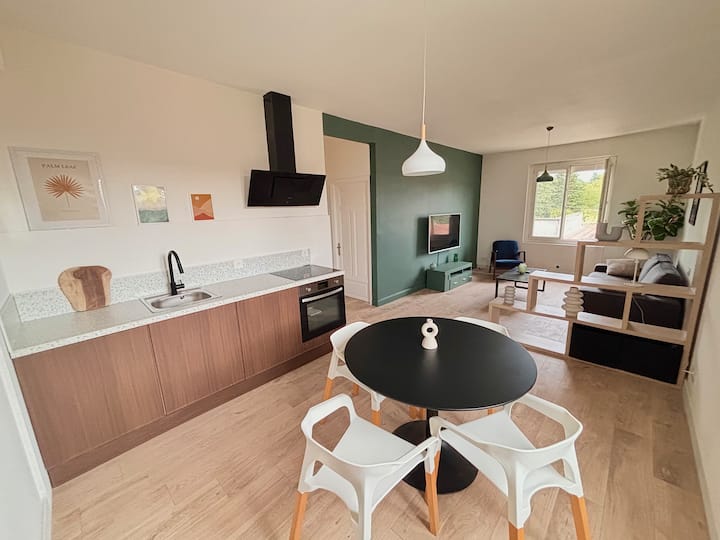 Grand T2 Lumineux, Design & Climatisé – Castres - Castres