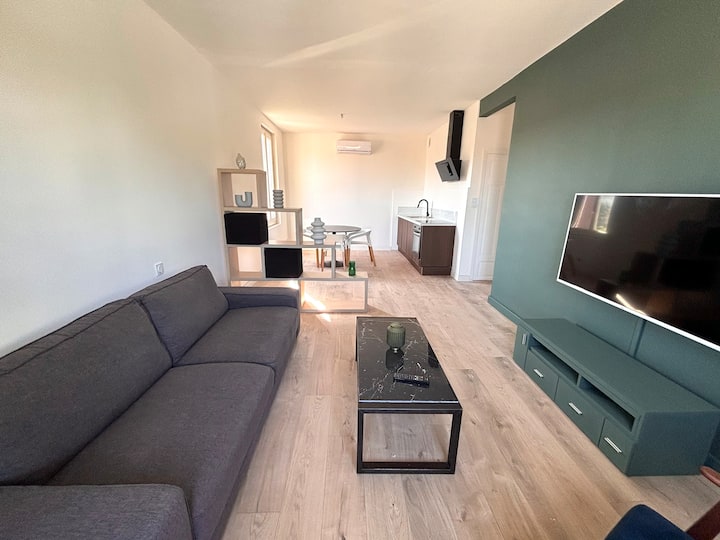 Grand T2 Lumineux, Design & Climatisé – Castres - Castres