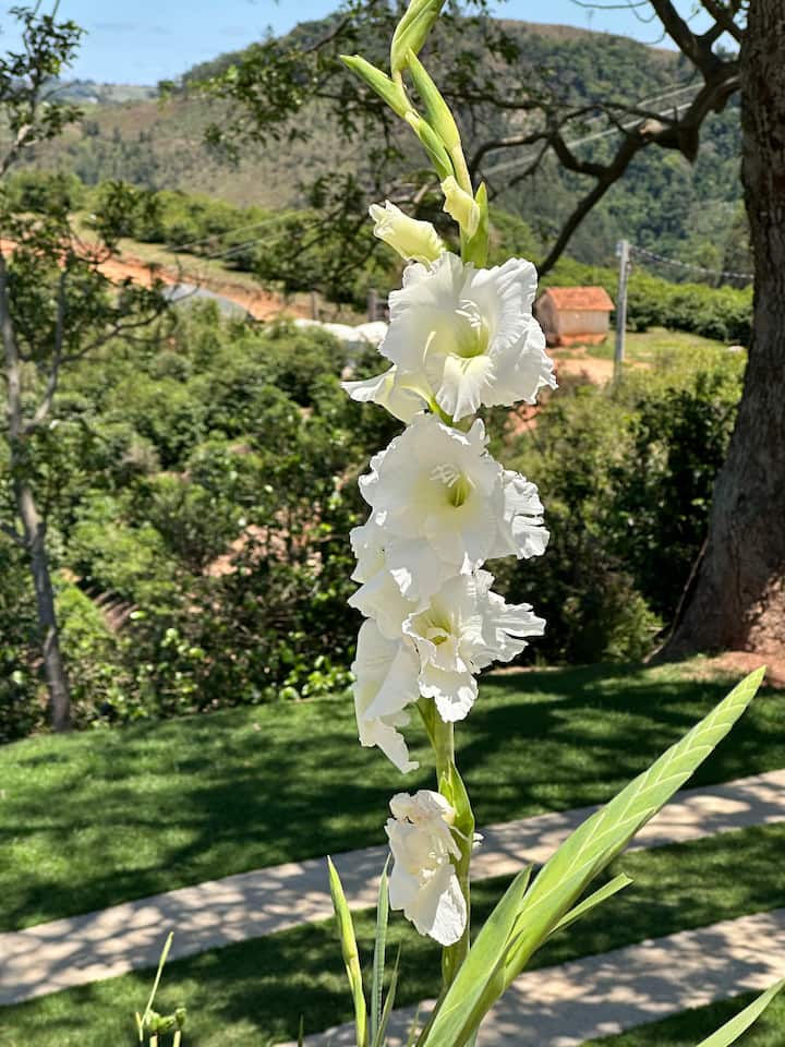 Casa Na Roça Com Wi-fi E Piscina Aquecida - Amparo