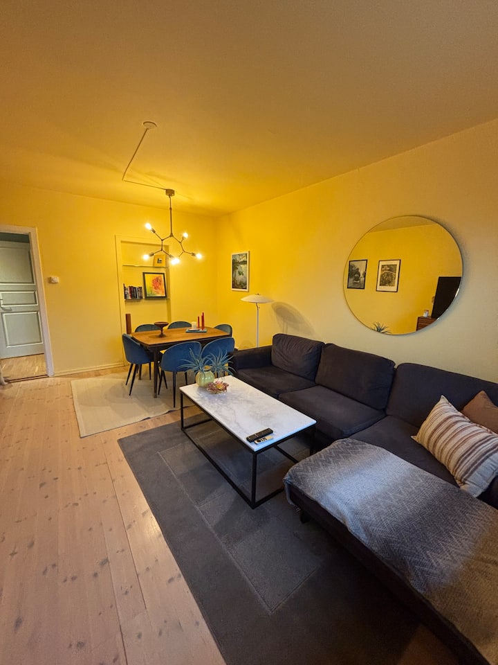 Lys, Gjennomgående Toppleilighet På Sagene. - Oslo