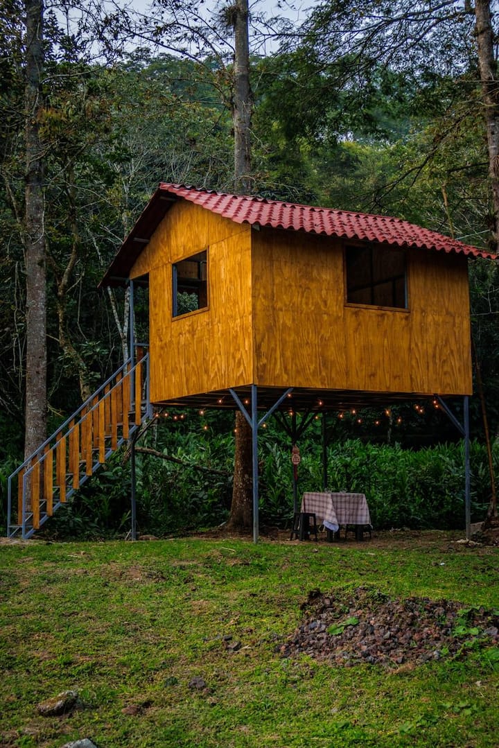 Increíble Casa Del áRbol En Pueblo Mágico - Xico