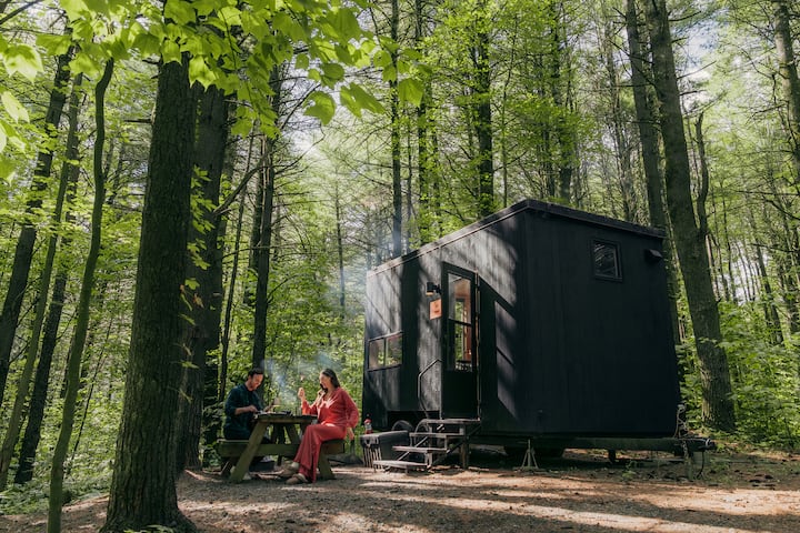 1 Bed Cabin - Postcard Cabins Eastern Catskills - 利茲