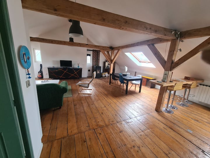 Magnifique Loft Located In The Heart Of Mulhouse - Mulhouse