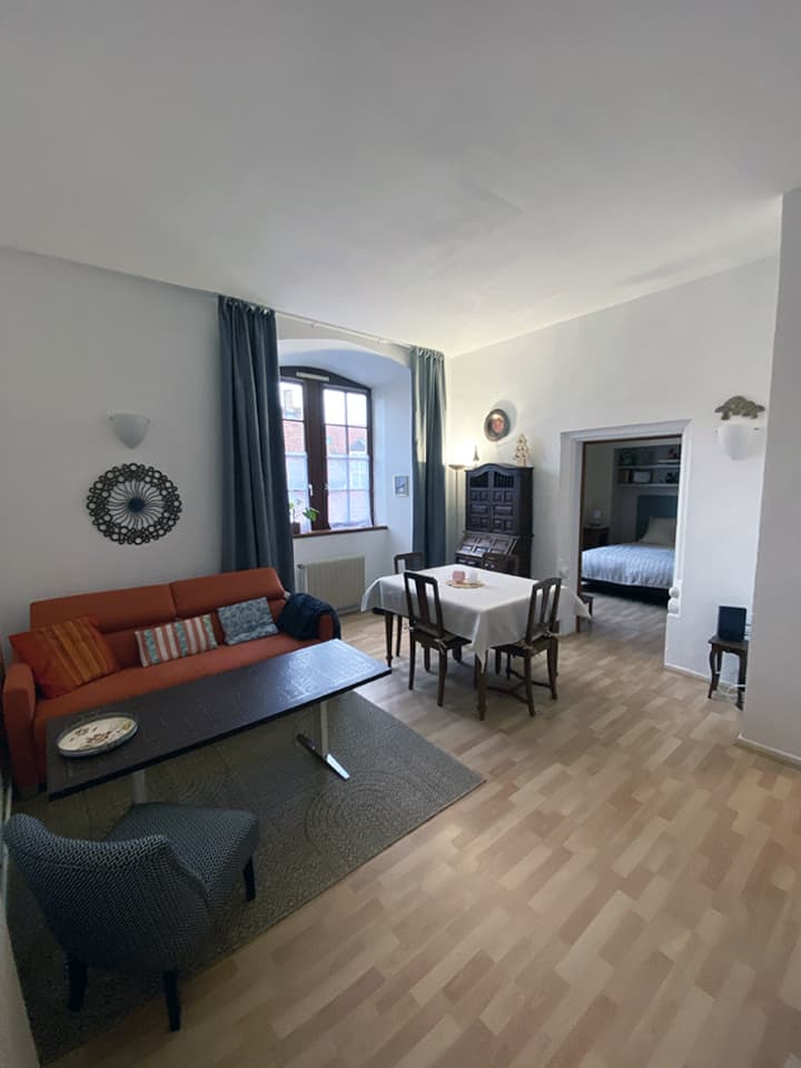 Appartement Au Centre Ville - Molsheim - Molsheim