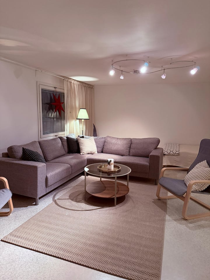 Nietos Aurora - Ylitornio