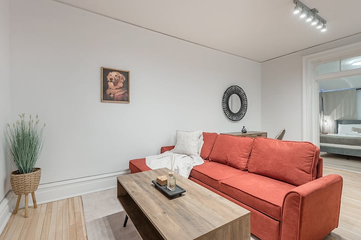 Spacious 2br Apartment • Large Private Terrace - Concordia University