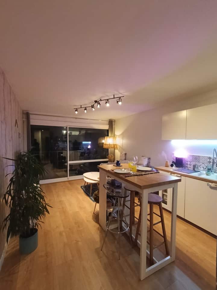 Appartement Studio Terrain Tennis (Piscine éTé ) - Blanquefort