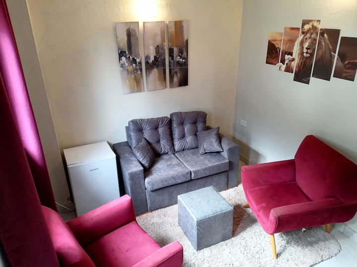 Apartamento Acogedor Cerca De Todo - Asunción