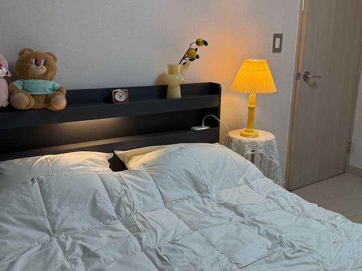 [성심당/빵지순례] K-stay S1313 - Daejeon