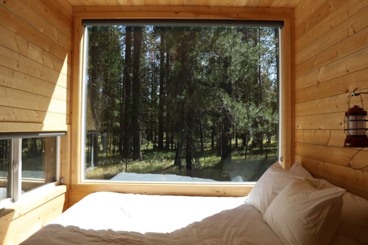 1 Bed Cabin - Postcard Cabins Lake Hartwell - Seneca, SC