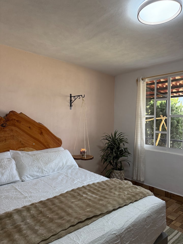 Room 2 Miguel - Pachuca